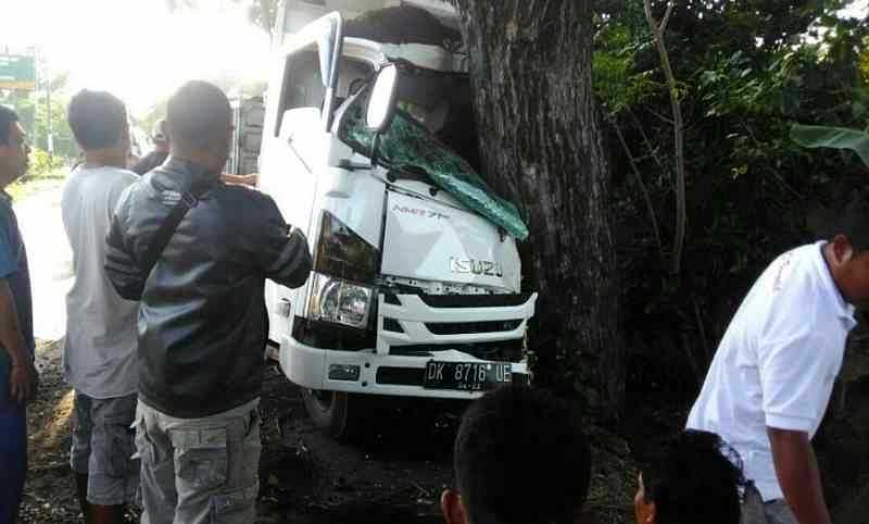 Diduga Ngantuk, Sopir Truk Tabrak Pohon | BALIPOST.com