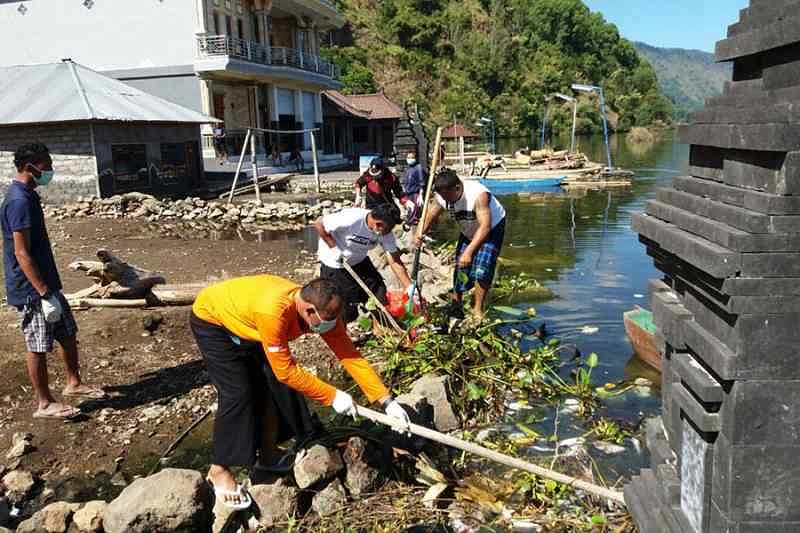 5 Ton Bangkai Ikan Berhasil Diangkat Dari Danau Batur | BALIPOST.com