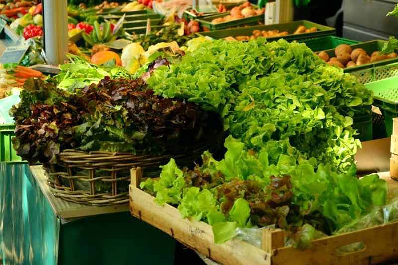 5 Makanan Sehat Ini Jaga dan Tingkatkan Kesehatan Paru-paru | BALIPOST.com