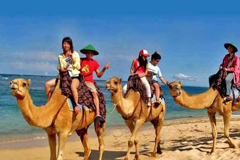 Di Dubai, Badung Tawarkan Wisata Unta | BALIPOST.com