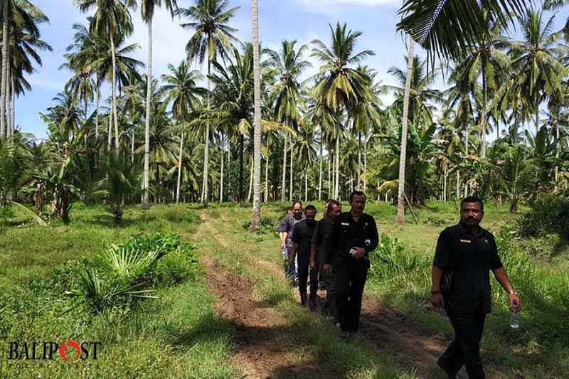 PLTS di Melaya Masuki Tahap Proses Amdal | BALIPOST.com