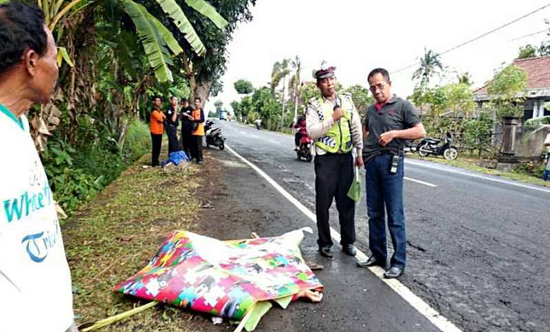 Kecelakaan di Yehembang, Pemotor Tewas | BALIPOST.com