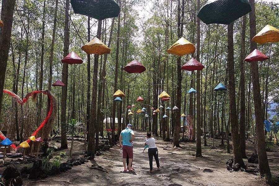 Dulu Kumuh, Hutan Ampupu Kini "Instagrammable" | BALIPOST.com