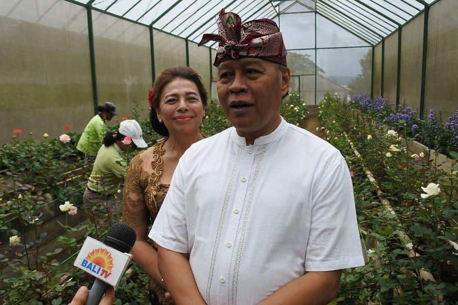 Ini Dia! 26+ Sejarah Tanaman Bunga Mawar Terbaik - Informasi Seputar ...