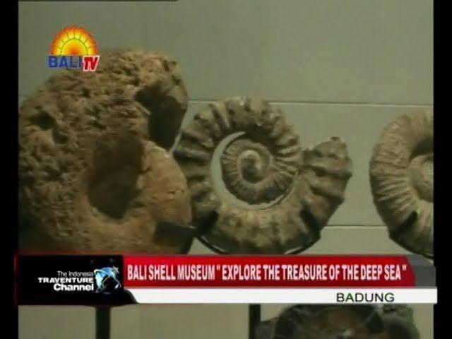 Bali Shell Museum | BALIPOST.com