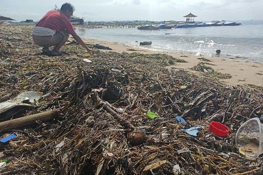 Sampah Rumput Laut Penuhi Pantai Tanjung Benoa | BALIPOST.com