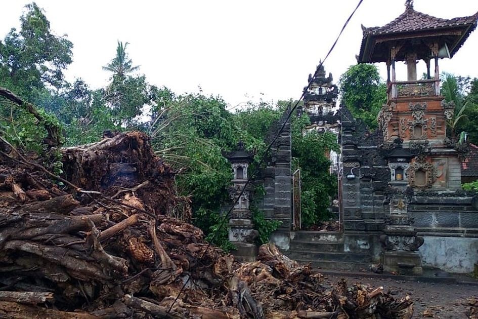 Bale Agung Pura Gria Desa Adat Sebuluh Tertimpa Pohon Beringin ...