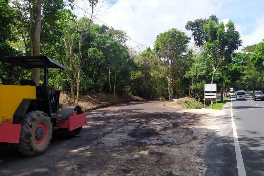 Preservasi Jembatan Jalan Nasional, Puluhan Pohon di Sumbersari ...