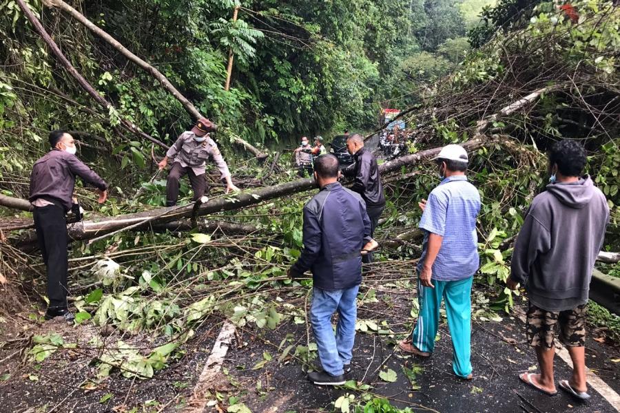 Longsor dan Pohon Tumbang Tutup Jalan di Yangapi | BALIPOST.com