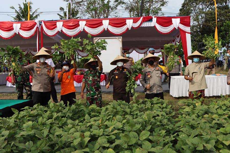Lahan Tidur Dijadikan Produktif, Polisi Panen Edamame - Andalan News
