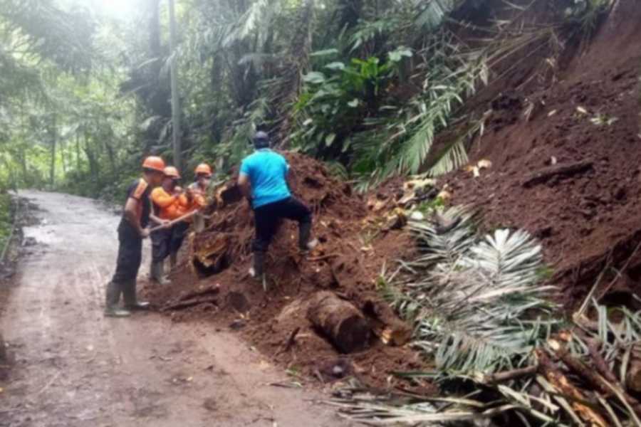 Longsor dan Pohon Tumbang Landa Desa Macang | BALIPOST.com