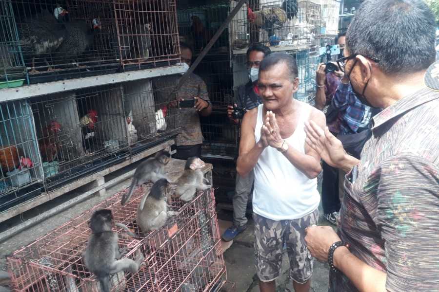 Perdagangkan Kera Ekor Panjang, Agus Ali Diberi Peringatan | BALIPOST.com