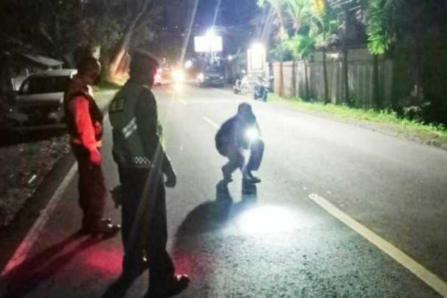 Tabrak Lari Di Jalur Seririt Singaraja Pemotor Perempuan Meninggal Di