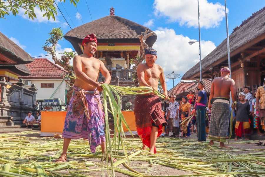 Desa Adat Bugbug Lestrikan “Aci Tatebahan” | BALIPOST.com