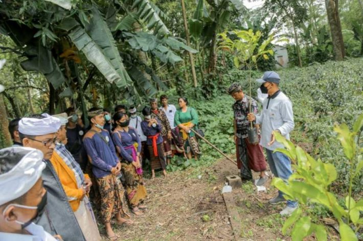 Penanaman Pohon Tandur Taru Urip Dimulai dari Desa Pinggan | BALIPOST.com