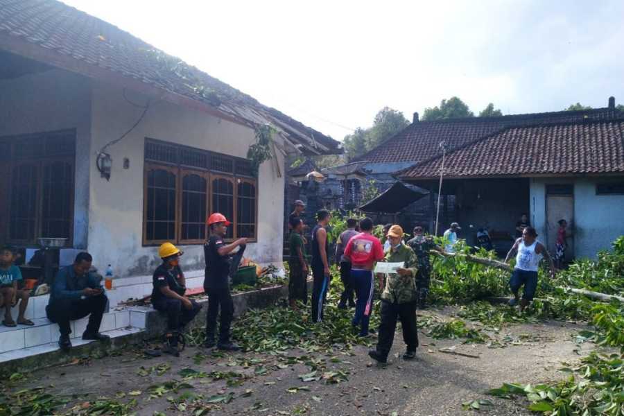 Tertimpa Pohon Rumah Dan Mobil Warga Sidemen Rusak