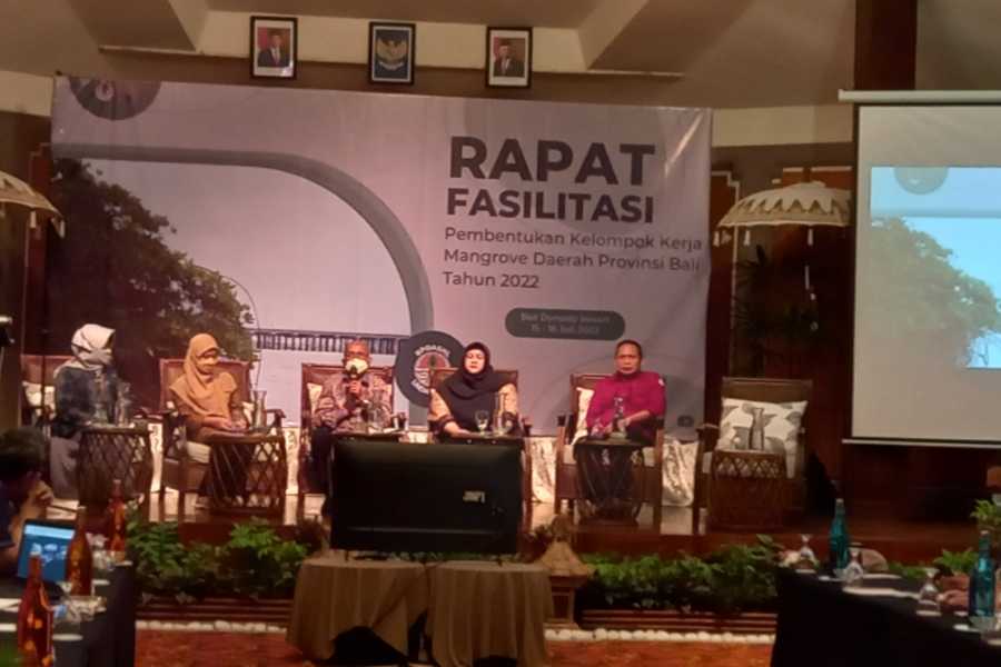 Kelola Mangrove, BPDASHL Perkuat Peran KKMD | BALIPOST.com