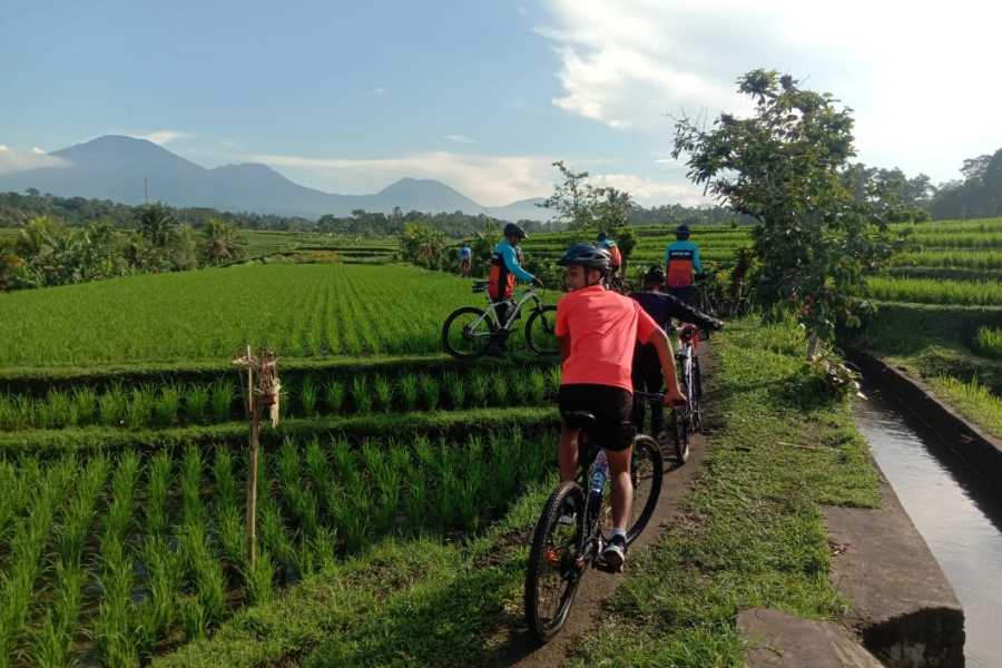 Rianggede Perkenalkan Wisata Alam Persawahan Dan Pegunungan 1 ...