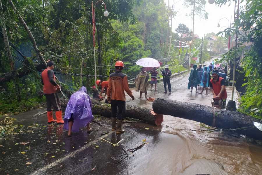 Hujan Lebat Semalam, Gianyar Dilanda Longsor dan Pohon Tumbang | BALIPOST.com