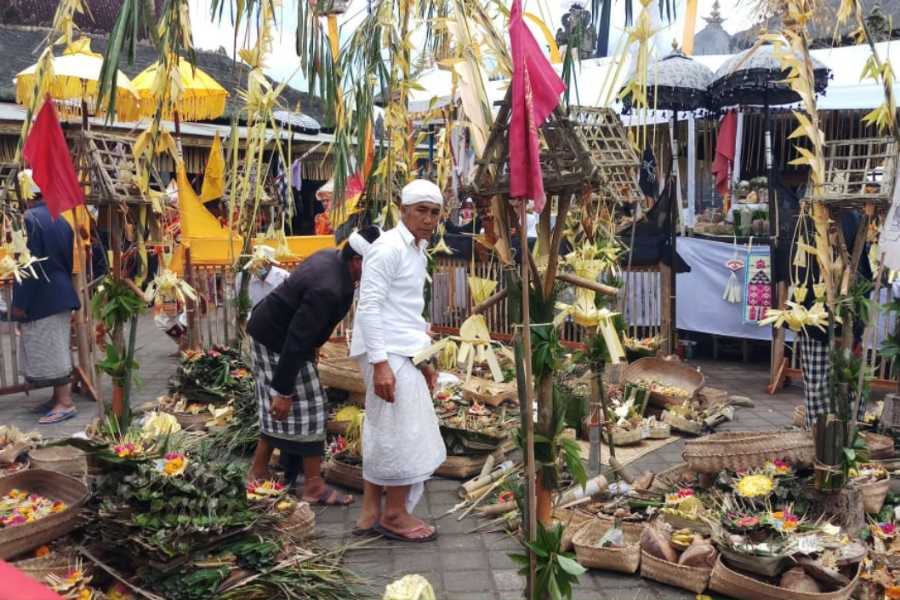 Rangkaian Pujawali, Upacara Rsi Gana Digelar di Pura Tuluk Biyu Batur ...