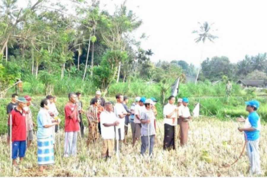 Desa Adat Ababi Gelar Pelebon "Jero Ketut" 1 | BALIPOST.com