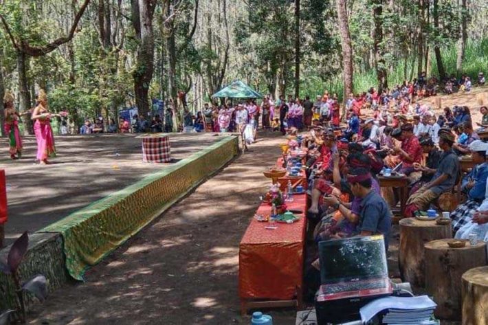 Desa Adat Gelagahlinggah Kelola Hutan Pinus Jadi Destinasi Wisata ...
