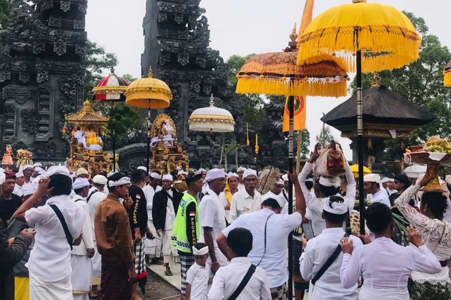 Puncak Pujawali, Ribuan Umat Hindu "Tangkil" ke Pura Kawitan Pasek ...