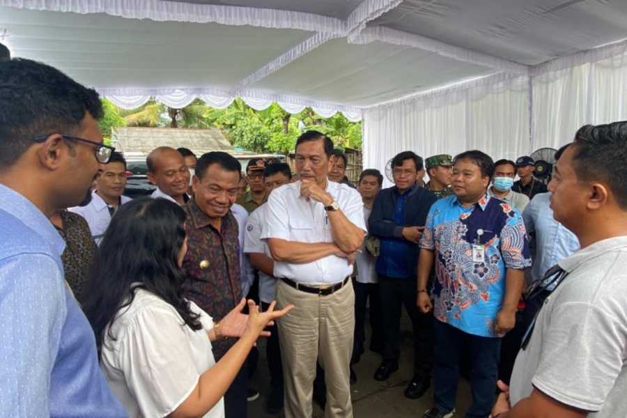 Tinjau Pilot Proyek di Buleleng, Menko Marves Sebut Budidaya Rumput ...