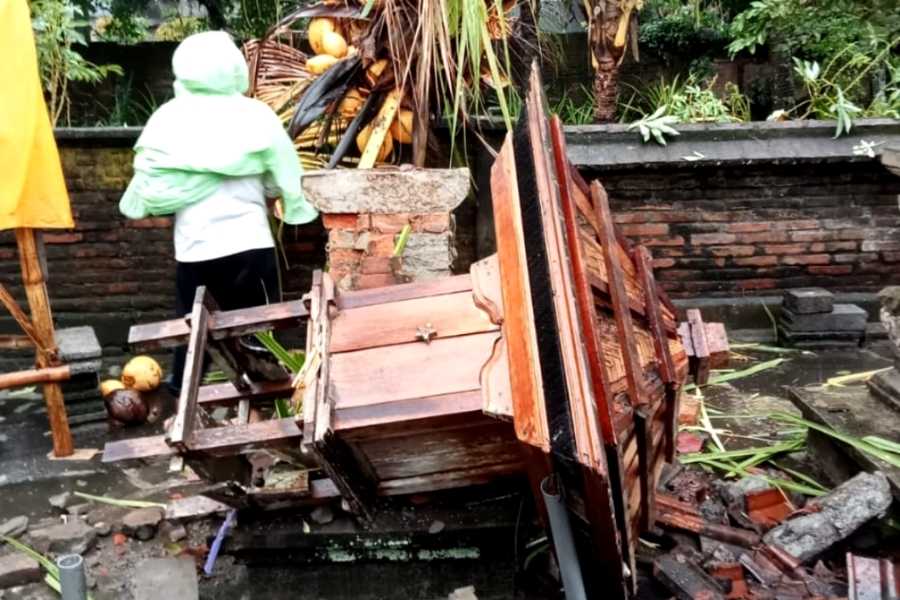 Hujan Disertai Angin Kencang, Pohon Kelapa Timpa Merajan | BALIPOST.com