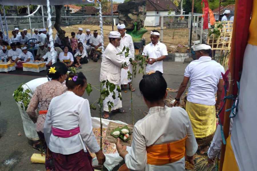 Buntut Perbuatan Asusila Oknum Sulinggih, Desa Adat Banjar Lakukan ...