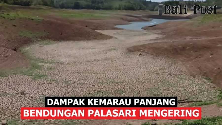 Kemarau Panjang, Bendungan Palasari Mengering | BALIPOST.com