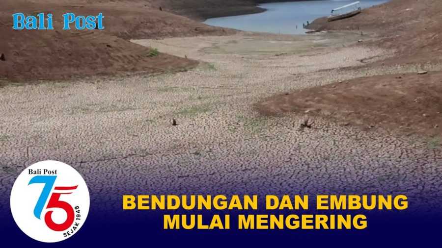 Bendungan dan Embung Mulai Mengering | BALIPOST.com