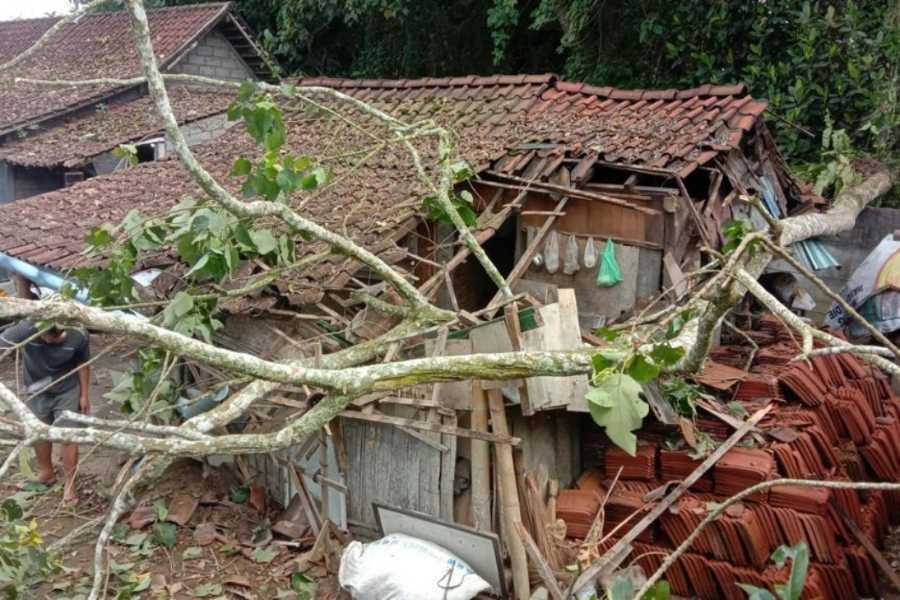 Pohon Tumbang Diterjang Angin Kencang, Atap Dapur Warga Rusak 1 ... Pohon Tumbang Diterjang Angin Kencang, Atap Dapur Warga Rusak 1 ...