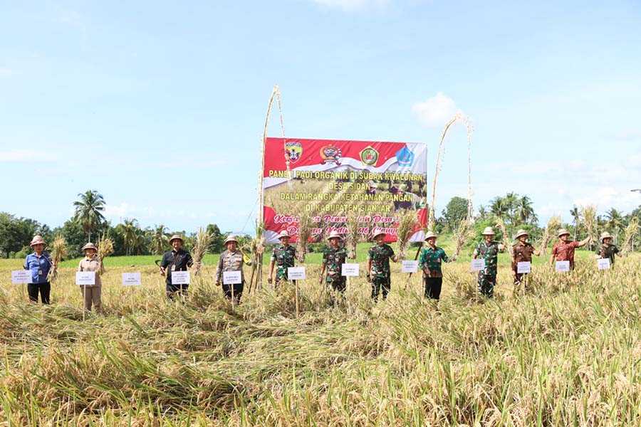 Jaga Swasembada Pangan, Pangdam IX/Udayana Panen Raya Padi di Desa Sidan | BALIPOST.com