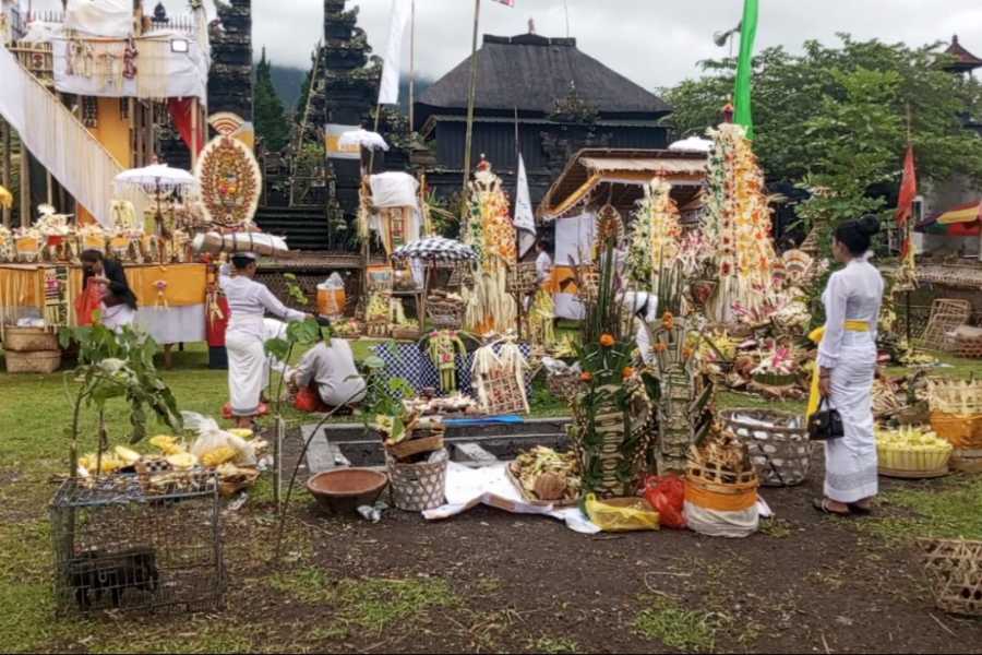 Lima Sulinggih "Puput" Tawur Tabuh Gentuh di Bencingah Pura Agung ...