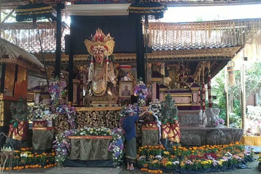 Pelebon Tjokorda Bagus Santaka, Ribuan Warga Antar Lembu hingga Bade ...