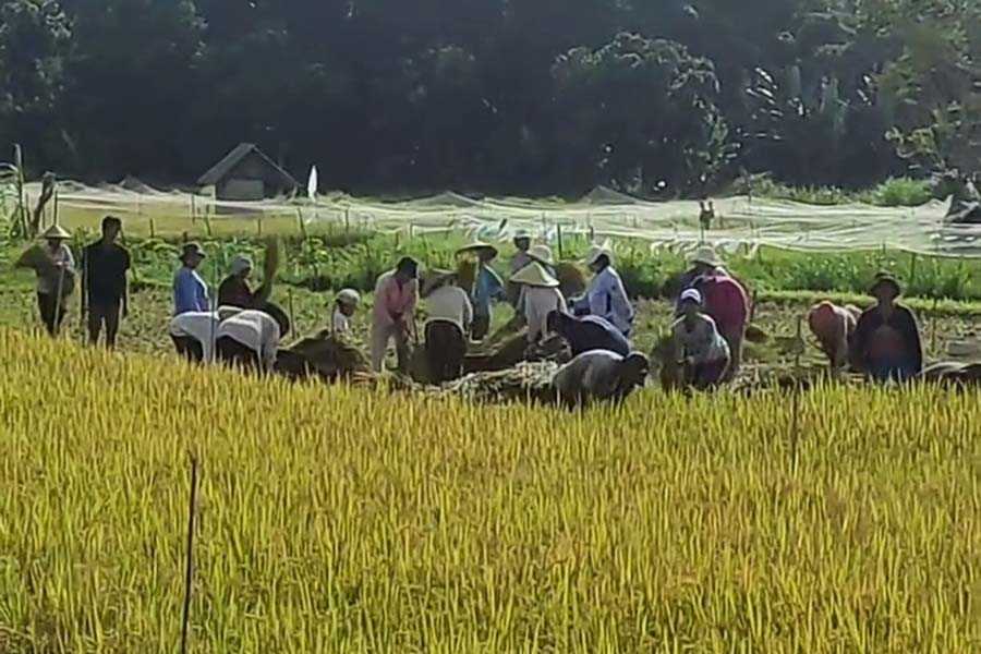 Jaga Kelestarian, Karangasem Bantu Pemeliharaan Irigasi dan Dana ke Subak | BALIPOST.com
