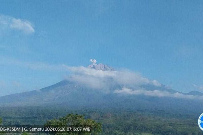 Tinggi Letusan Gunung Semeru Mencapai 600 Meter | BALIPOST.com