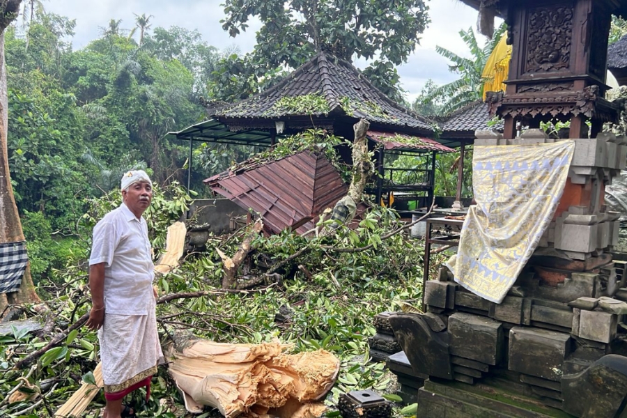 Diterjang Angin, Badung Dilanda Pohon Tumbang | BALIPOST.com