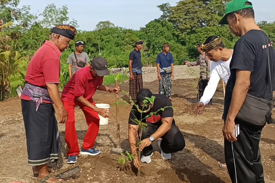 Eks Galian C Kelating Ditanami Pohon ”Upakara” | BALIPOST.com