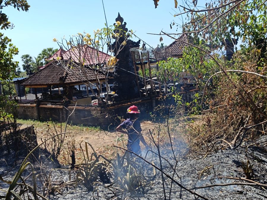 Sejumlah Komoditi Berpotensi Dikembangkan di Desa Tianyar | BALIPOST.com