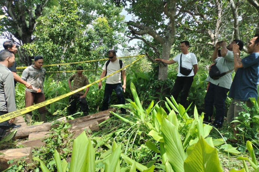 Terduga Pelaku Pembalakan Liar Diamankan Warga | BALIPOST.com