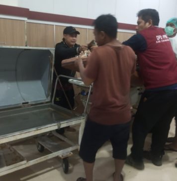 News Terkini | BALIPOST.com