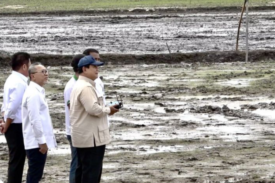 Presiden Sebut Teknologi Modern Sulap Lahan Rawa Jadi Sawah Produktif | BALIPOST.com