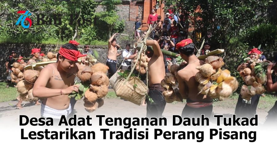 Desa Adat Tenganan Dauh Tukad Lestarikan Tradisi Perang Pisang | BALIPOST.com