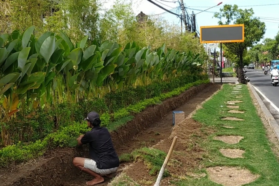 Pembongkaran Taman di Trotoar Batubulan Mulai Dilakukan, Pemilik ...