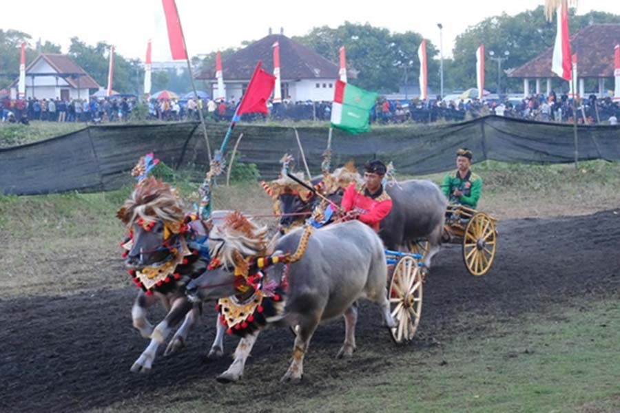Tradisi 'Makepung' Mesti Tetap Dilestarikan | BALIPOST.com