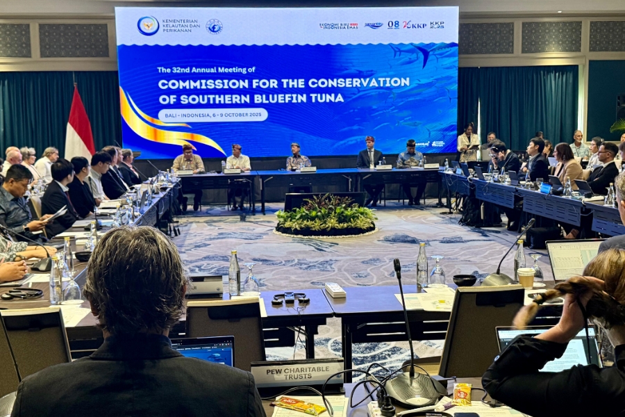 Indonesia Perjuangkan Peningkatan Kuota Pengangkatan Bluefin Tuna ...