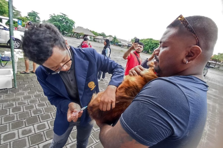Progres Vaksinasi Rabies di Denpasar Capai 90 Persen | BALIPOST.com