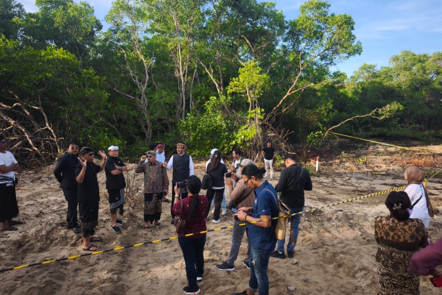 Satpol PP Bali Dalami SHGB Lokasi Mangrove yang Diduga Dibabat BTID ...